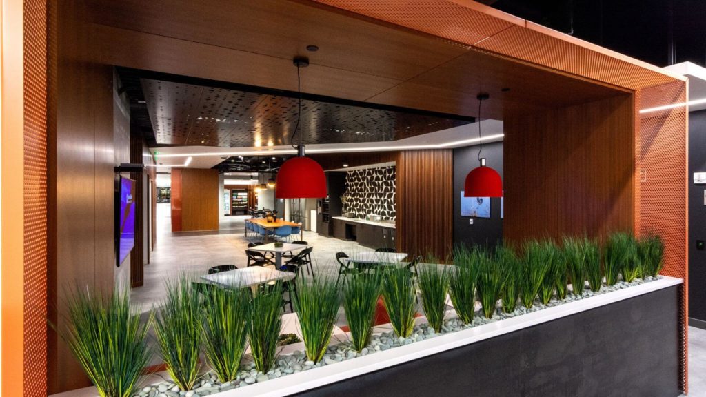 Renovation encourages collaboration in a new modern office space | REES